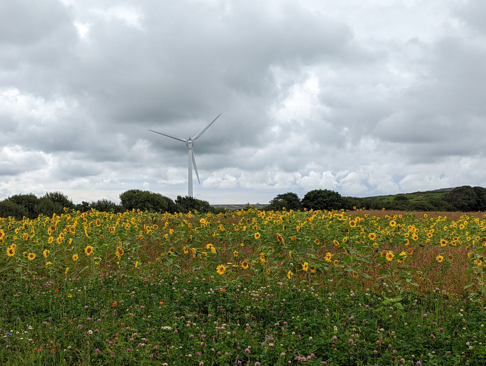 CWM Environmental